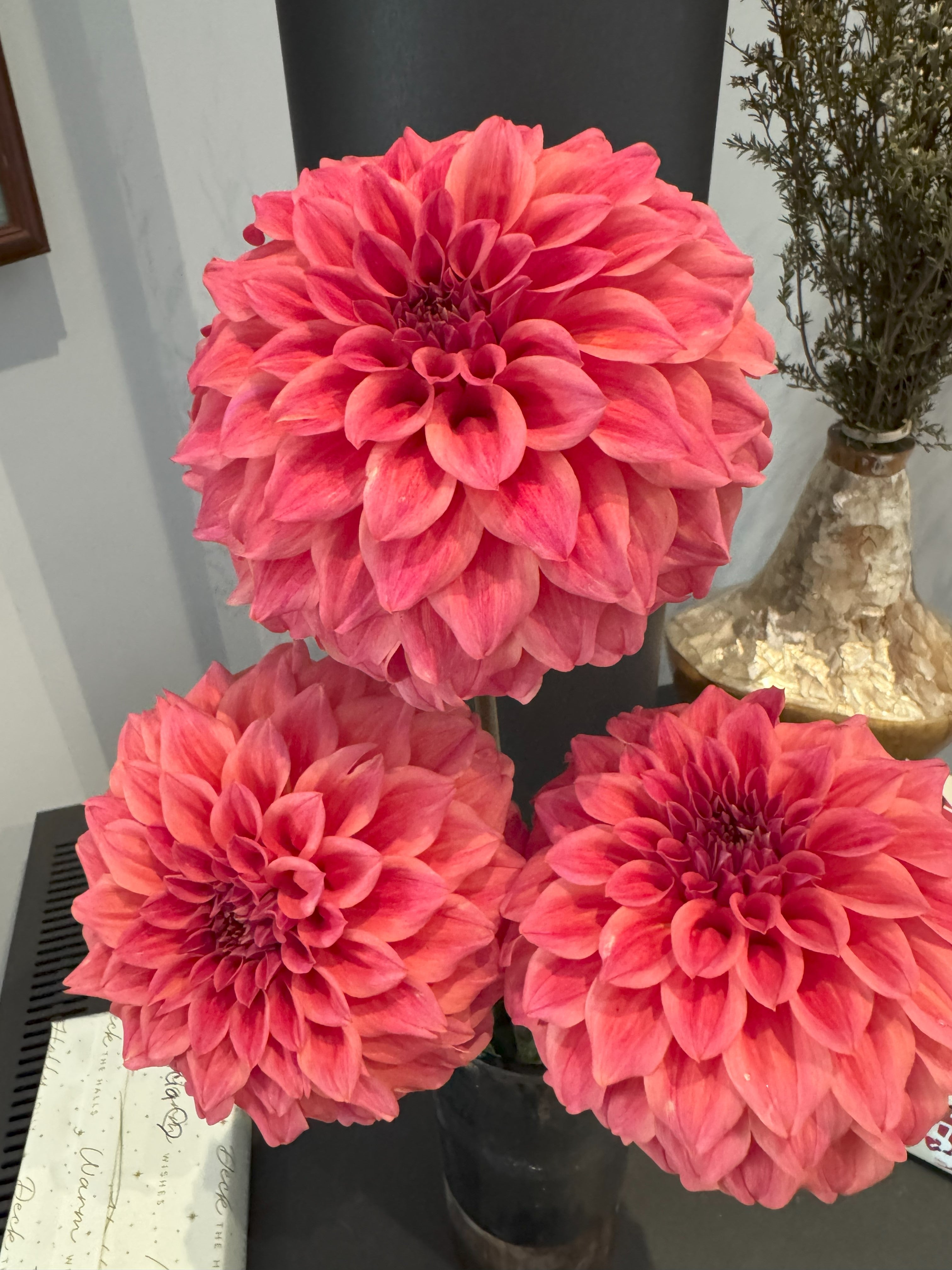 SYLVIA CRAIG HUNTER | DAHLIAS and ROSES
